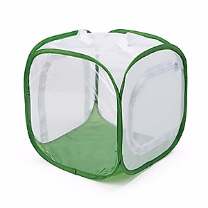 Two Doors Monarch Butterfly Habitat, Insect Mesh Cage, Caterpillar Enclosure Terrarium Pop-up (12 X 12 X 12 Inches)
