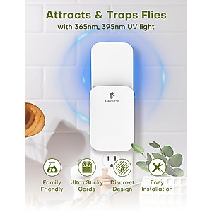 Kiwinurse Fruit Fly Traps for Indoors (2 Traps + 8 Glue Cards), Gnat Traps for House Indoor, Fly Traps Indoor for Home with Flying Insect Trap Refills