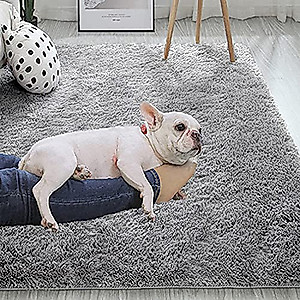 GOKISNE Area Rug for Bedroom, Fluffy Living Room Area Rug, Fluffy Carpet 4' x 5' for Kids Room, Shaggy Plush Rug for Nursery Room, Grey