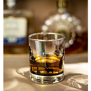 Whiskey Glasses set of 2 cocktail glasses bourbon glass Old Fashioned Glasses Gifts for holiday, Men,11 ounce