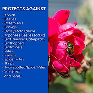 BioAdvanced 3-In-1 Insect, Disease and Mite Control, Concentrate, 32 oz