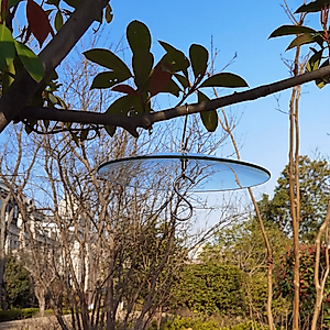 10" Glass Rain Cover for Wild Bird Feeder Outdoors - Weather Guard S Hook Hanging - Protective Dome Baffle - Clear (Dia. 25CM)