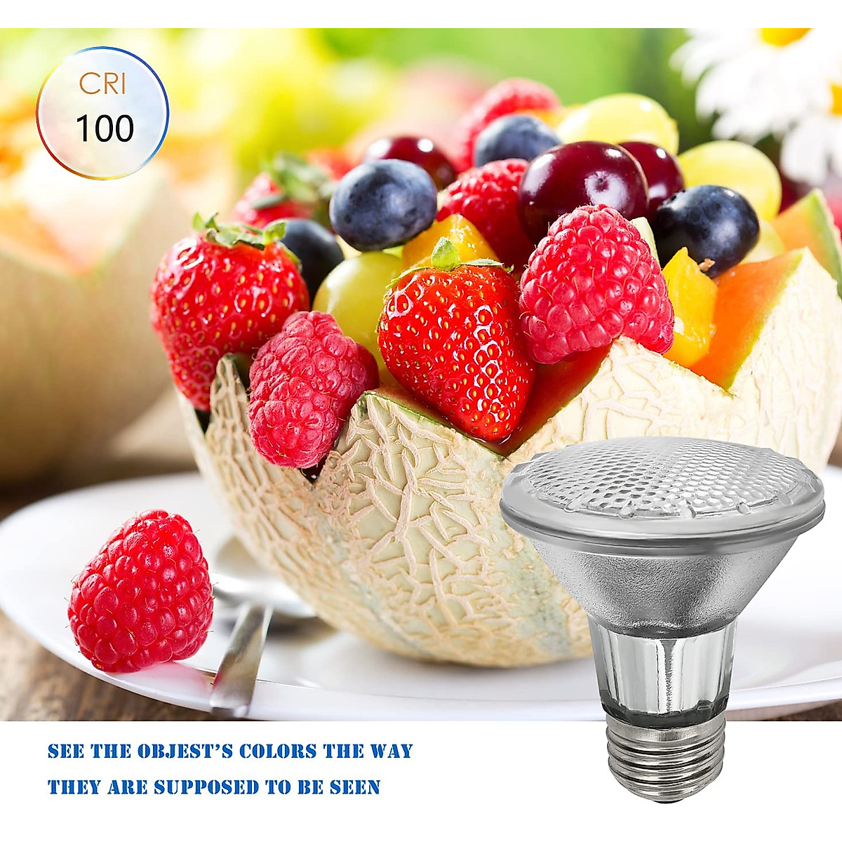 Par20 Bulbs, 2 Pcs 120V 50W Par20 Flood Light Bulbs, E26 Medium Base Long Lasting Life High Output Reflector Flood Lights -Warm Light