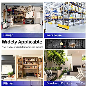 6 Pack Mixed Sizes Large Rat Traps, Heavy Duty Sticky Mouse Traps for House Indoor, Extra Strength Snake Traps for Mice Rat Snake Roach Lizard Spider Scorpion and Other Pests