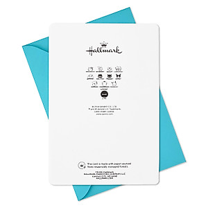 Hallmark Sanrio Hello Kitty Cute Birthday Cards (3 Cards with Envelopes)