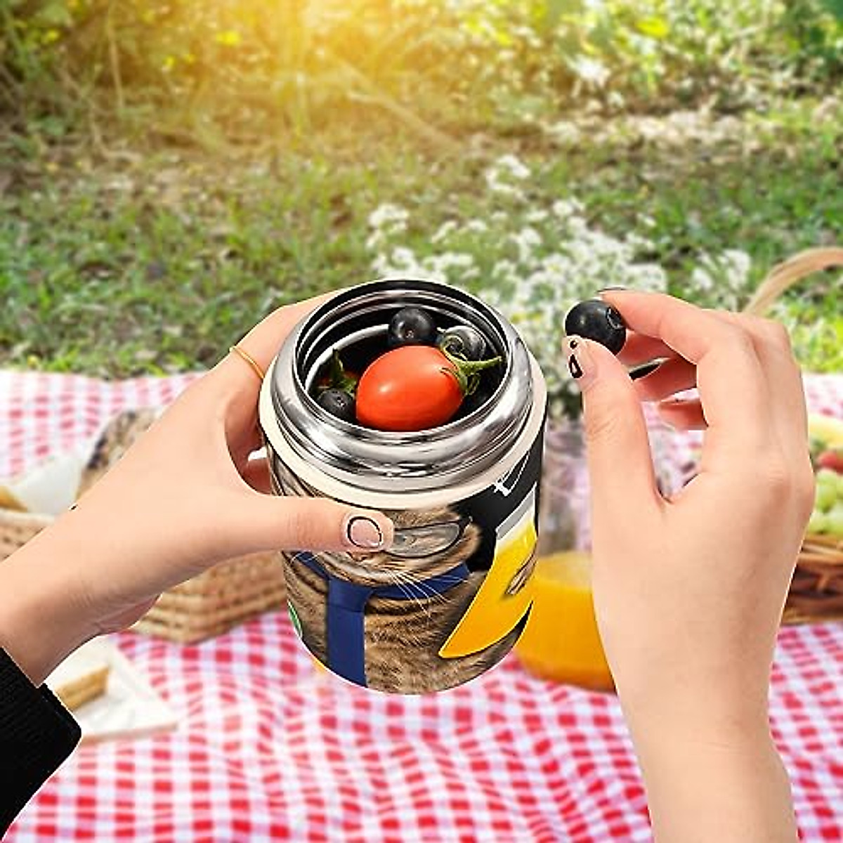 CUPADA Funny Cat Teacher Food Jar, Back To Insulated Hot Food Jars Vacuum 17OZ with Folding Spoon for Work Trip Picnic Camping