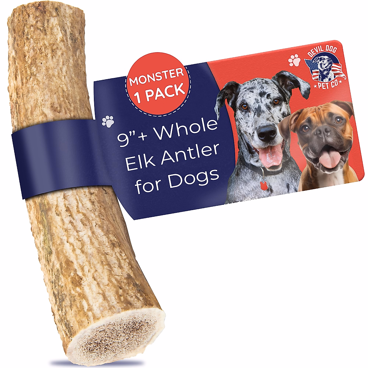 Devil Dog Pet Co. Elk Antlers for Dogs, 1 Pack, Monster 9”+, Grade A Long Lasting Dog Bones for Aggressive Chewers, Premium USA Naturally Shed Antler Dog Chew – Healthy, No Odor, Dog Antler Chews
