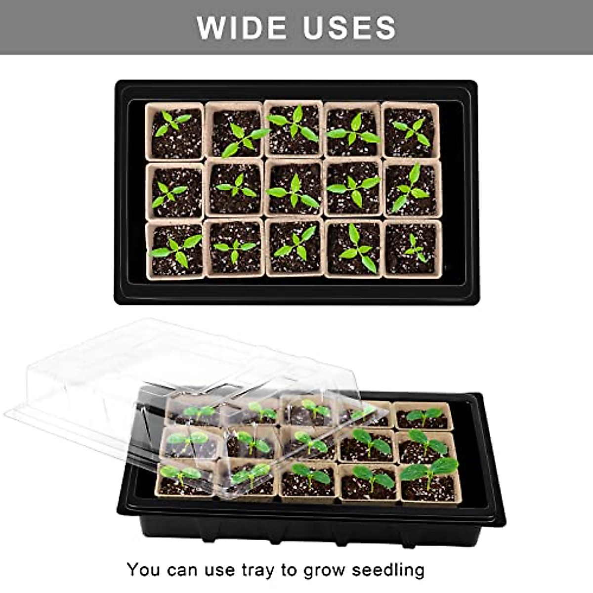 Aodaer 247 Pack Seed Starter Kit Including Peat Pots for Seedlings Seed Starter Tray with Plant Labels, Tool, Plastic Growing Trays Germination Tray Paper Seedling Cups for Indoor Outdoor Garden