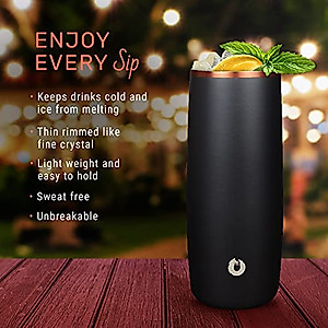 Snowfox Insulated Stainless Steel Highball Cocktail Glass/Drink Tumbler, 14.5-ounce, Set of 2, Black/Gold