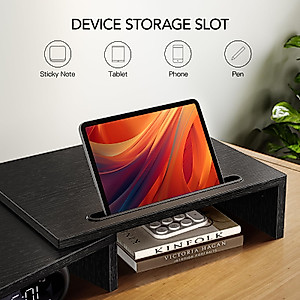 AMERIERGO Dual Monitor Stand -Adjustable Length and Angle, Dual Monitor Riser, Computer Monitor Stand w/2 Slot, Desktop Organizer, Monitor Stand Riser for PC, Computer, Laptop (Black)