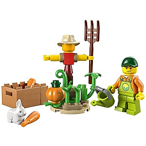LEGO City Farm Combo Pack: Farm Garden and Scarecrow Polybag (30590) and Brown Chicken