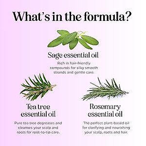 Maple Holistics Sage Shampoo for Dandruff, Oily Hair and Flaky Scalp, 10 OZ - Sulfate Free Volumizing Shampoo with Natural Ingredients, Essential Oil for Men and Women