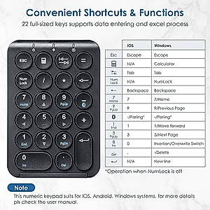 SANWA Bluetooth Numeric Keypad, Rechargeable Wireless Ten Key Number Pad, 22-Key Portable & Slim Financial Accounting Numpad for Laptop Computer, Compatible with MacBook, Windows, Android, iOS, Black