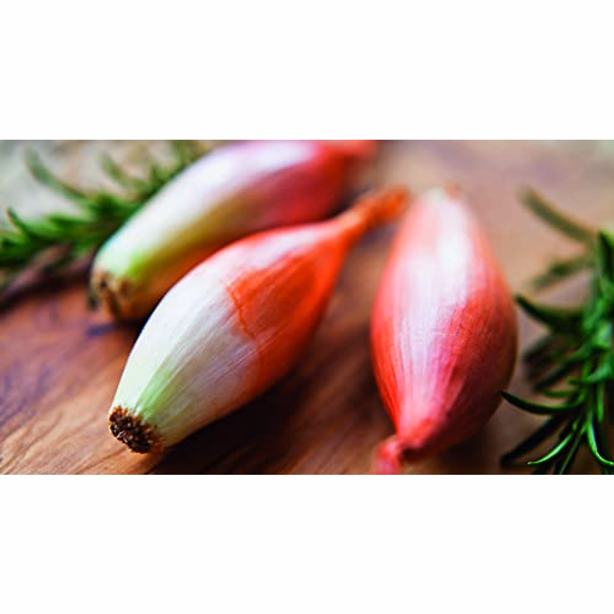 RAISE ME UP: Seeds Red Banana Shallot Onion Non GMO Heirloom