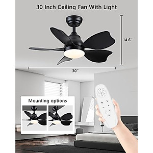 Newday 30" Ceiling Fan with Light and Remote, Small Ceiling Fans with Lights, 5 Reversible Blades 3 Colors Dimmable 6 Speed Ceiling Fan for Bedroom Kitchen Dining Room, Black Ceiling Fan with Light