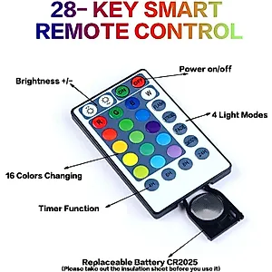 TenSteed 2 Pack Fairy String Lights,50 LED Fairy Lights Battery Operated Multicolor Changing Twinkle Lights with Remote,16.4Ft Silvery Copper Wire Firefly Lights for Party Wedding Christmas Décor