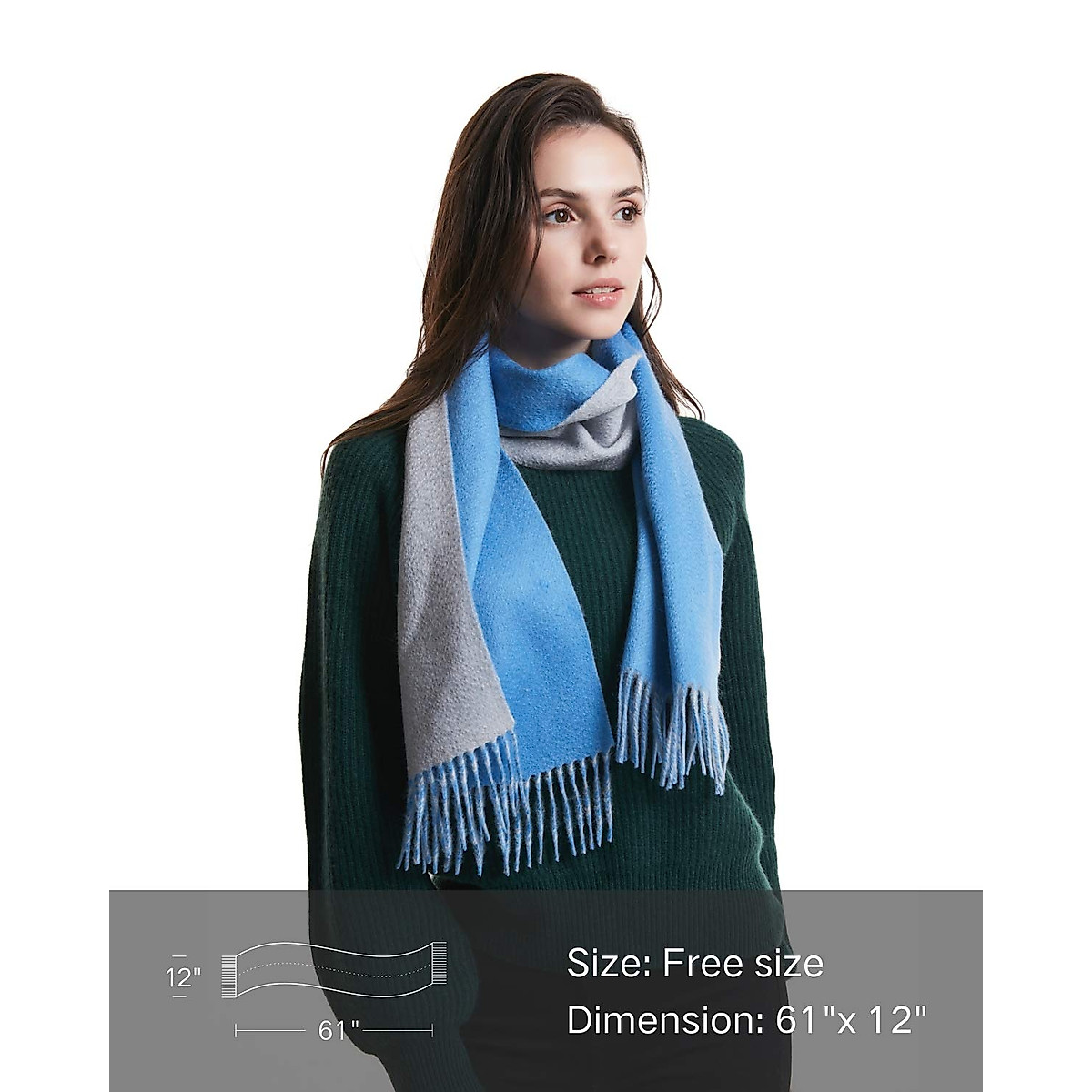 EURKEA 100% Cashmere 2024 Winter Scarf for Women, Fringed Edges, Warm & Soft, Lightweight, Gift Ready, Solid/Plaid/Two-Tone, Black and Burgundy, Free Size