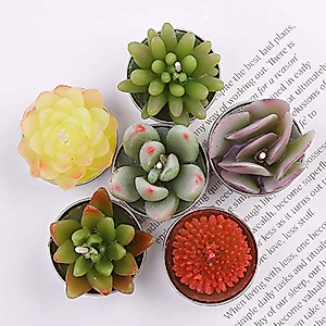 WANGMINGTU Succulent Cactus Tea Light Candles Unscented 6pcs Assorted for Birthday Party Favors Wedding Decor Gift Sets