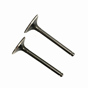 POWER PRODUCTS Inlet & Exhaust Valve for Predator Non-Hemi 6.5HP 212CC Gas Engine 60363 69730 69727