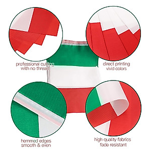 Anley Italy Italian Republic String Pennant Flags - Patriotic Events 2nd of June National Day Decoration Sports Bars - 33 Feet 38 Flags