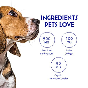 Wonder Paws Bone Broth for Dogs – Bone Broth Powder with Organic Mushrooms & Collagen for Digestion, Immunity & Joint Support – Tasty Beef Supplement for Dogs of All Ages, Sizes & Breeds – 3.20 oz