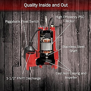Red Lion RL-SC50T 115-Volt, 1/2 HP, 4300 GPH Cast Iron Sump Pump with Tethered Float Switch, 10-Ft. Cord, Red, 14942746