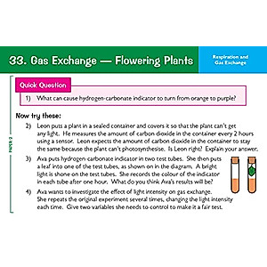 New Grade 9-1 Edexcel International GCSE Biology: Revision Question Cards (CGP IGCSE 9-1 Revision)