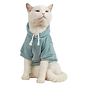 QWINEE Basic Dog Hoodie, Dog Warm Jacket, Cat Apparel, Dog Shirt, Dog Clothes for Puppy Kitten Small Medium Dogs Cats Cadet Blue XL
