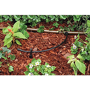 Rain Bird T22-250S Drip Irrigation 1/4" Blank Distribution Tubing, 250' Roll, Black