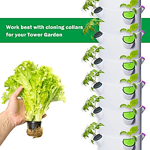 Rlioy 40 Pack Cloning Collars Inserts Premium Grade Foam, Fits 2 Inches Net Pots, for Hydroponics, Cloning, DIY Cloner and Clone Machines (40 Pack)