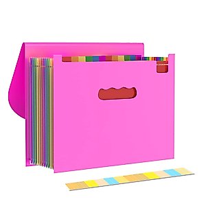 CN1ST Expanding File Folder with Sticky Labels, Accordian File folders Organizer, Expandable Filing Folder for Documents Letter Size and A4 Size