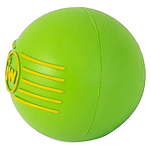JW Squeak-ee Ball Puppy Toy