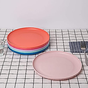 Durable and Reusable 9.75-inch Colored Plastic Dinner Plates set for Parties, Set of 6, Dishwasher Safe, BPA Free