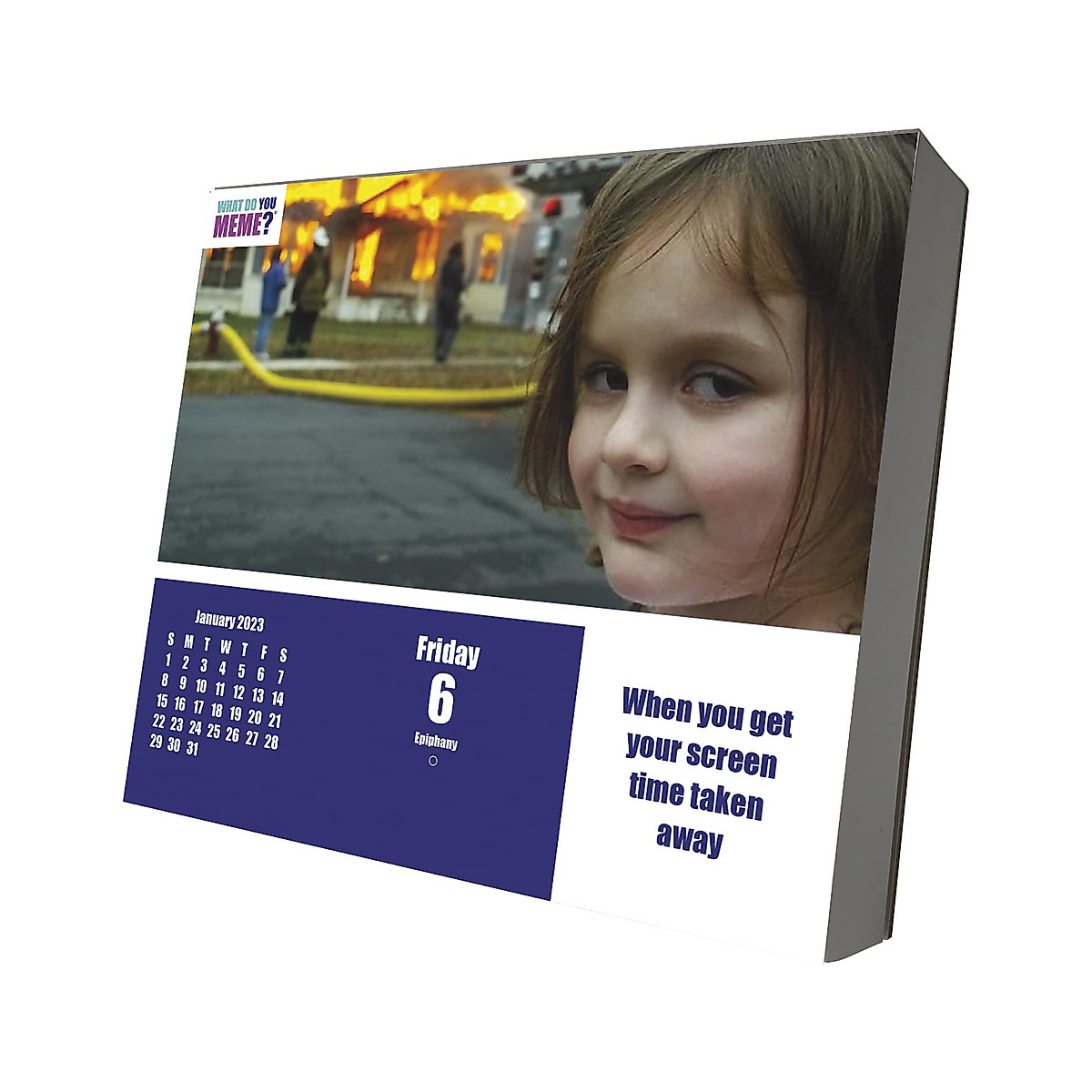 2023 What Do You Meme? Day-at-a-Time Box Calendar