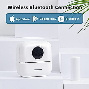 TIANSE Mini Sticker Printer, Bluetooth Label Maker Thermal Inkless Label Printer for Journal, Notes, Memo, Photo, Label Compatible with iOS&Android