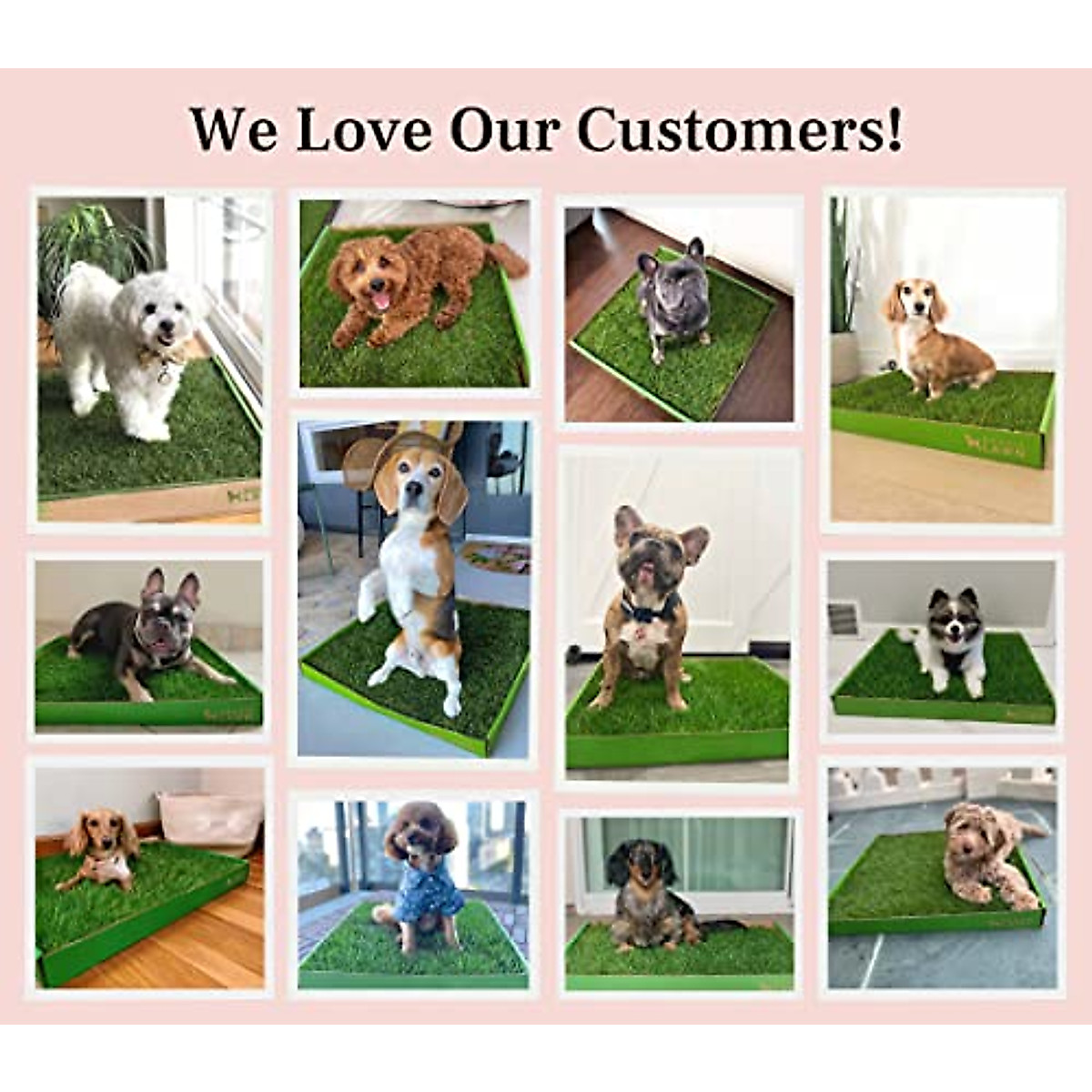 DoggieLawn Real Grass Puppy Pee Pads- 24 x 20 Inches - Perfect Indoor Litter Box for Dogs - No Mess, Easy-to-Use - Potty Training for Pets - Eco-Friendly Disposable Bathroom with Real Living Grass