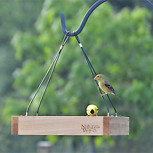 Nature's Way Bird Products CWF3 Cedar Platform Tray Bird Feeder 12" x 12"