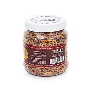 Fluker's Bearded Dragon Medley Treat Food Black 1.8 Ounce (Pack of 1)