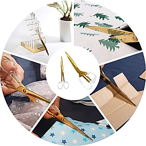 EXPUTRAN Acrylic Scissors, 9 inch and 7inch Set, Clear and Gold-Toned Scissors for Left and Right Hand, Craft Scissors,Gold Office Supplies and Accessories