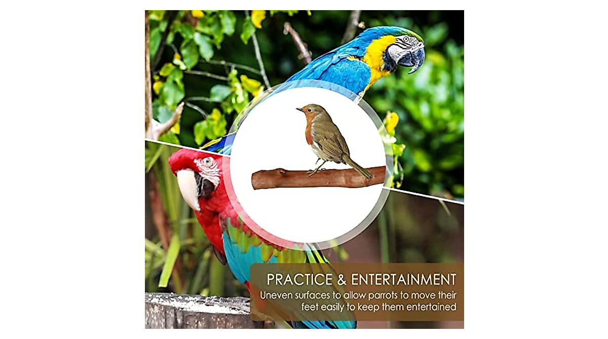 Natural Wood Bird Perches for Parrots & Cockatiels