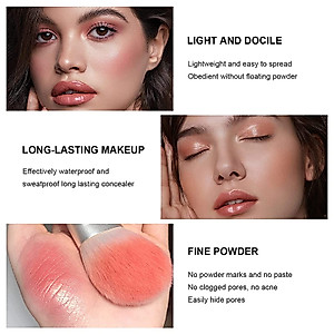 12 Colors Blush Palette,Highlighter Blush Powder Makeup,Long-Wearing,Smudge Proof,Natural-Looking,Blendable Cruelty-Free Matte Finish,Contour and Highlight Blush Palette Face Cosmetics Makeup