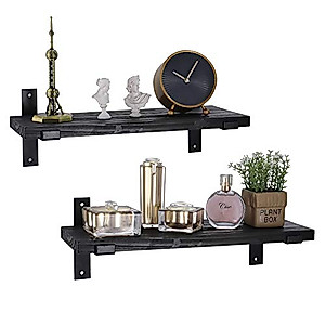 PENGKE Floating Wall Shelves Set of 2,Wall Mounted Floating Shelves Ledge 16 Inch Long, Picture Shelving Ledge with Storage, Modern Design for Home Decor