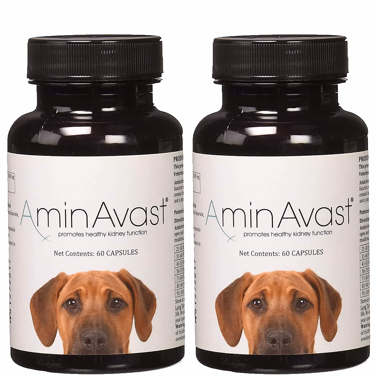 AminAvast Kidney Support Supplement for Dogs, 1000mg 2-Pack - Promotes Natural Kidney Function - Aids in Health and Vitality of Aging Kidneys - Easily Administered - 60 Sprinkle Capsules