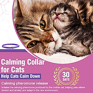 Cat Calming Collar Calming Collar for Cats 3 Pack Calming Cat Collar Relieve Stress and Anxiety Calming Collar Relax Cat Pheromone Collar Suitable for Small Medium and Large Cats Calming Cat Collars
