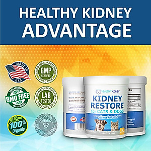 Kidney Restore Cats & Dogs Unflavored for Supporting Normal Kidney Function, Creatinine, Pet Renal Kidney Health Supplement Felines Canines