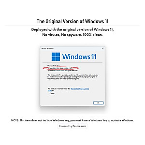 Fastoe Bootable USB Flash Drive Installer for Windows 11 Pro/Home