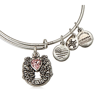Alex and Ani Path of Symbols Expandable Bangle for Women, Fortune’s Favor Charm, Rafaelian Silver Finish, 2 to 3.5 in