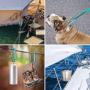 6PCS Carabiner Caribeaner Clip,3" Large Aluminum D Ring Shape Carabeaner Keychain Hook