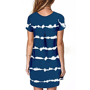 Alaster Queen Women's Casual Summer T Shirt Dress Loose Short Sleeve Tunic Dress with Pocket for Women