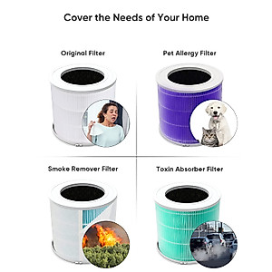 DAYETTE AP301 AP302 Replacement H13 HEPA Air Purifier Filter, Original Filter